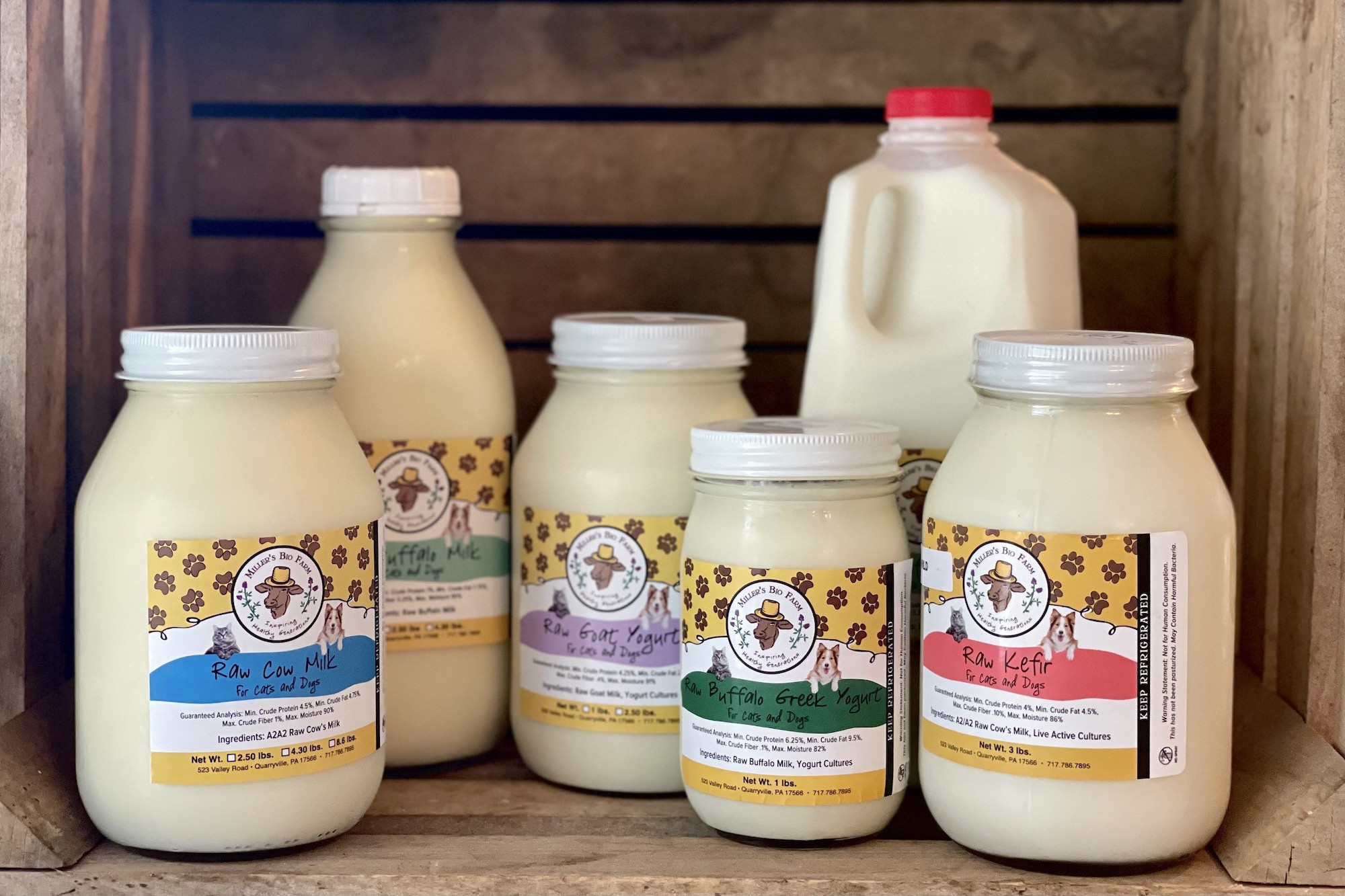 Miller’s Bio Farm: A2/A2 Raw Dairy For Cats & Dogs (Shipped) - The Real ...