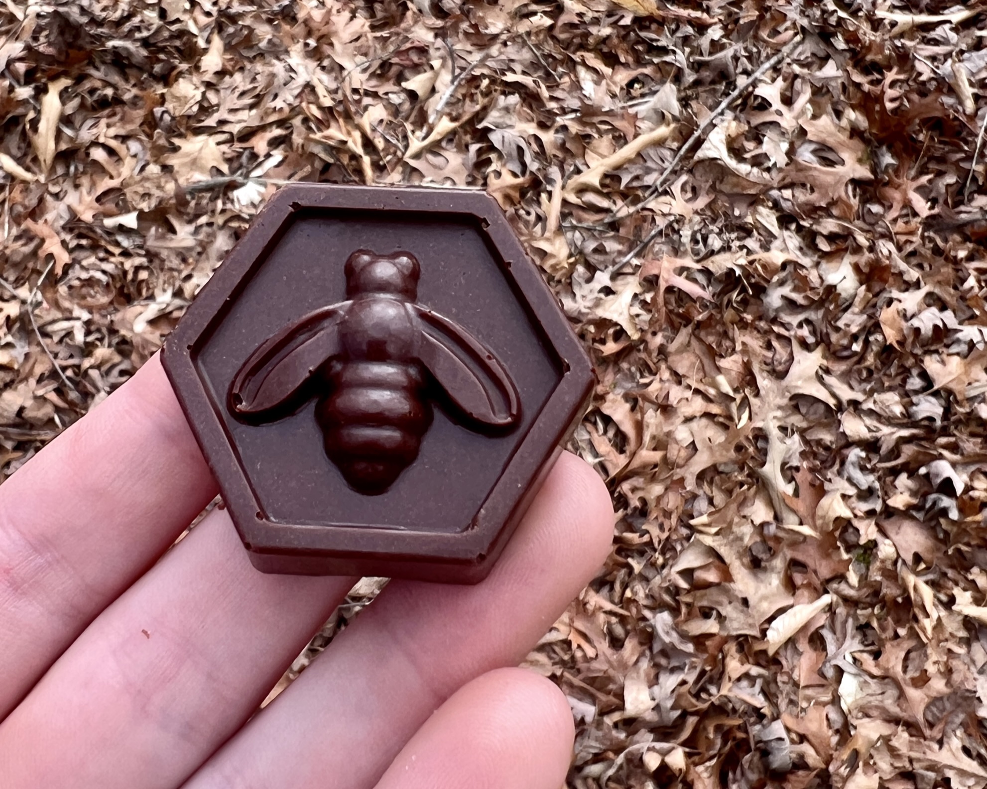 Paleo Dark Chocolate Recipe (Raw Honey Sweetened) - The Real Food Project