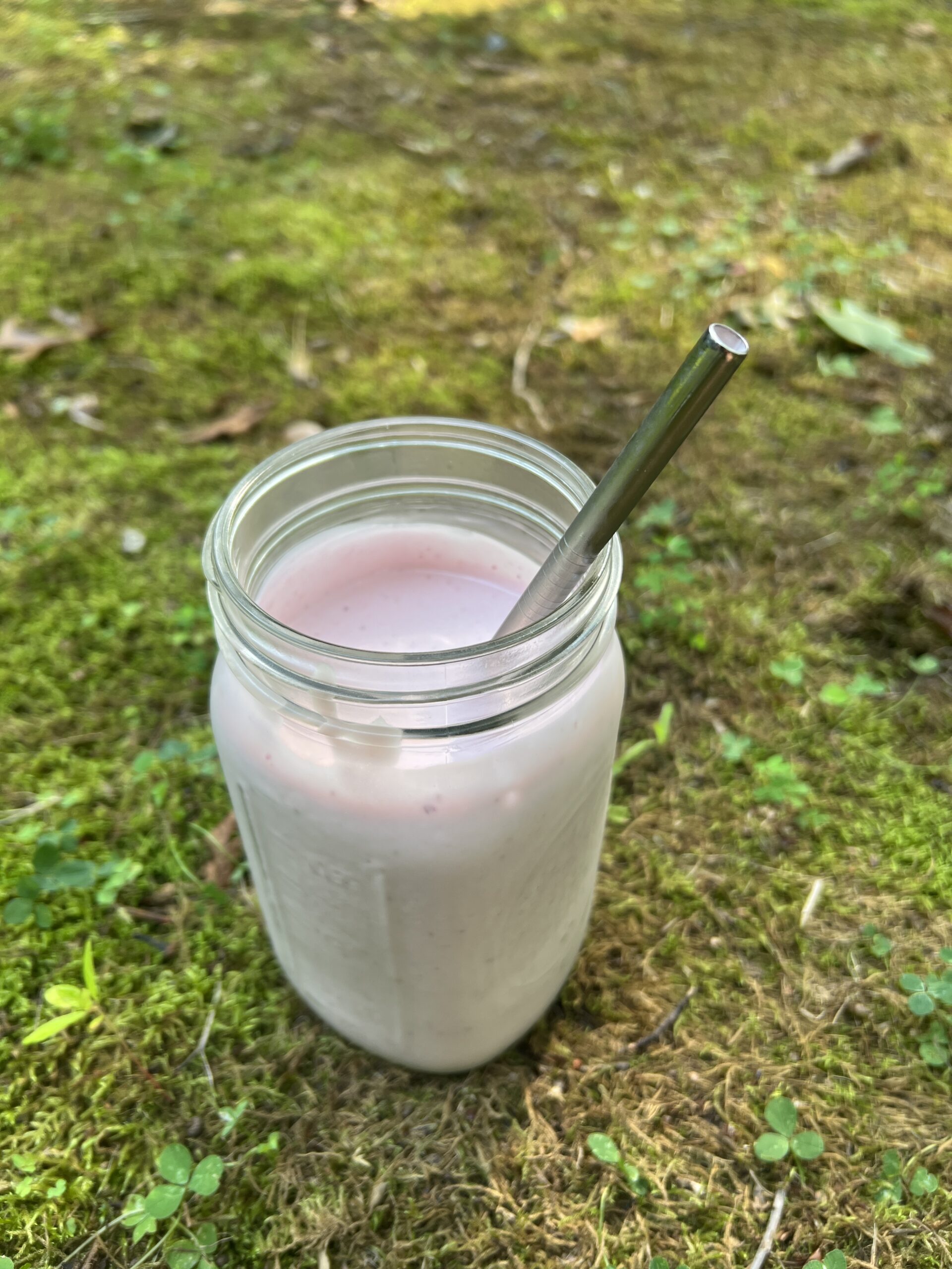 Raw Milk Strawberry Shake Recipe - The Real Food Project